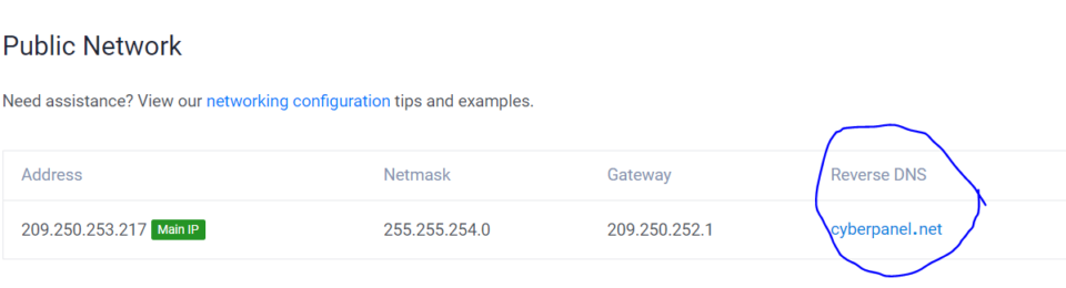 Discover Reverse DNS Lookup: Connecting IPs to Domains
