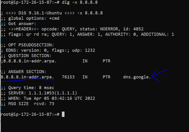 Discover Reverse DNS Lookup: Connecting IPs to Domains