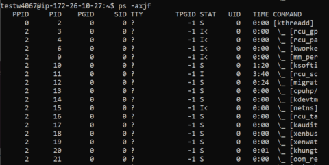 How to List Running Processes in Linux and Manage Them