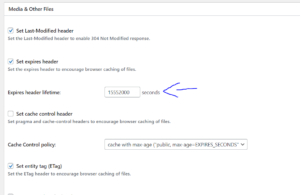 Serve Static Assets With An Efficient Cache Policy (3 Methods)
