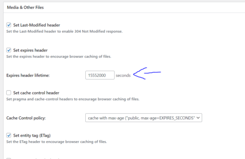 Serve Static Assets With An Efficient Cache Policy (3 Methods)