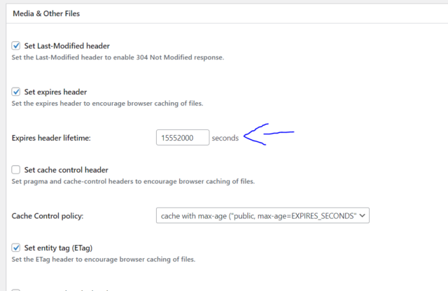 Serve Static Assets With An Efficient Cache Policy (3 Methods)