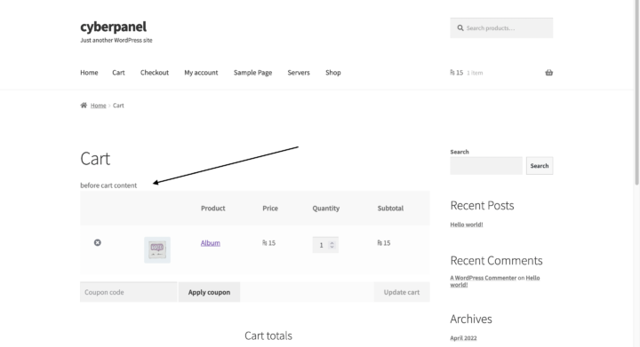 How to use WooCommerce Hooks - A Complete Guide