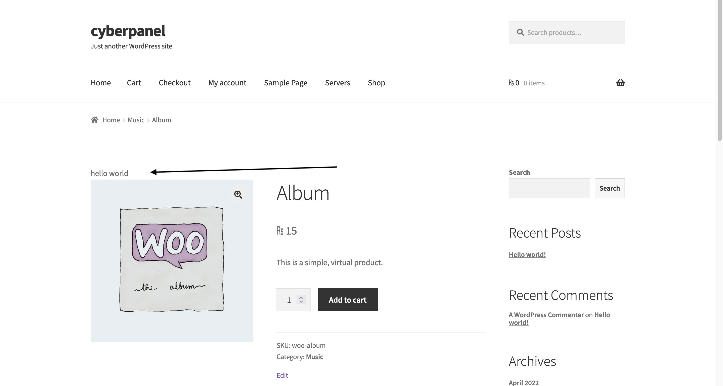 How to use WooCommerce Hooks - A Complete Guide