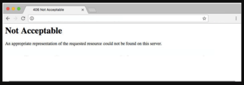 How To Find And Easily Fix 406 Error?