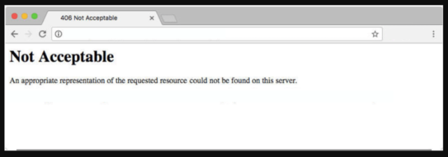 How To Find And Easily Fix 406 Error?