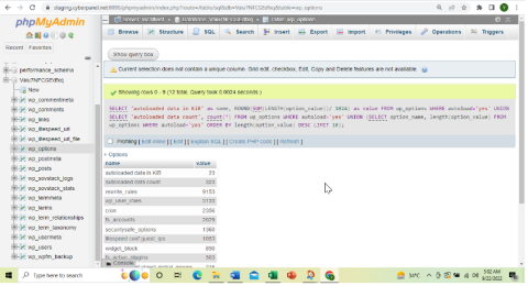 How to Clean And Optimize your wp_options table and Autoloaded Data