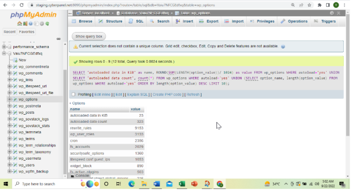 How to Clean And Optimize your wp_options table and Autoloaded Data