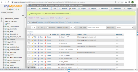How to Clean And Optimize your wp_options table and Autoloaded Data