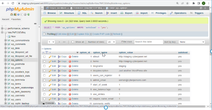 How to Clean And Optimize your wp_options table and Autoloaded Data