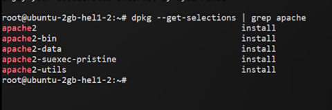 How To Check If Apache Is Installed
