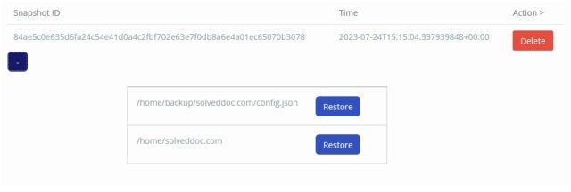 What is an incremental backup? How does it work?