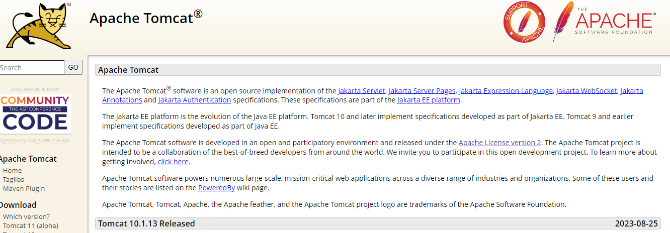 Discovering Nginx Alternative: Exploring the Best Web Server Options