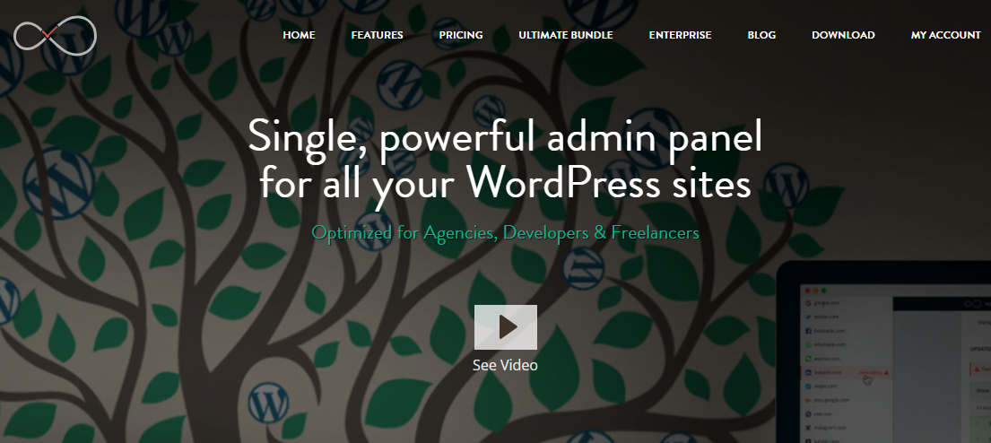 Best 10 WordPress Management Tools for Your Website in 2023