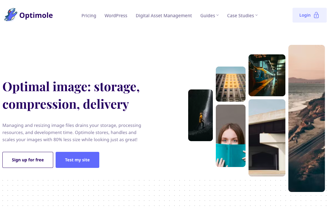 5 Best WordPress Image Optimizer Plugins for 2025