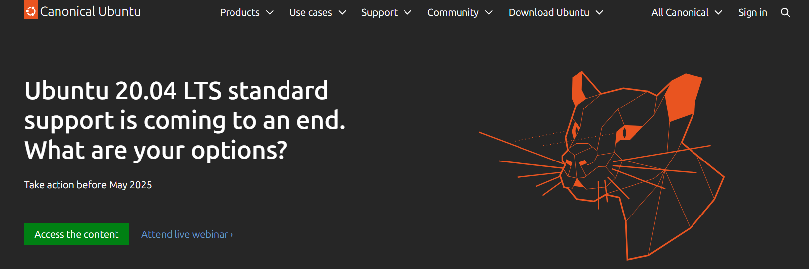 Rocky Linux vs. Ubuntu: Which One is Best for You?
