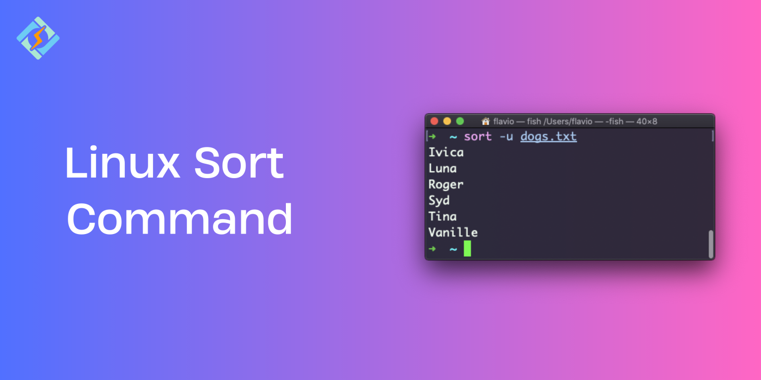 Linux Sort Command Explained With Examples: Guide