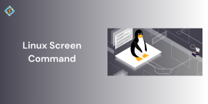 Linux Screen Command: Install & Cheat sheet To Start Screens
