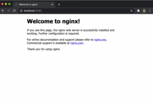 Docker Nginx Reverse Proxy Easiest Installation Guide 2025